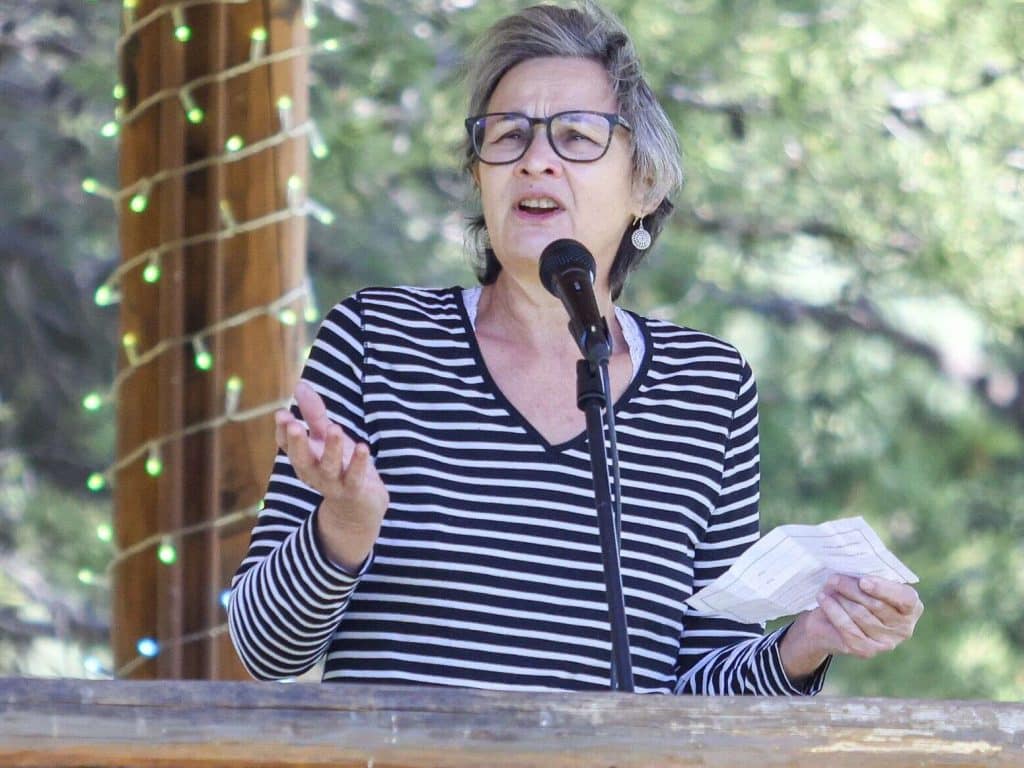 Rachel Richards won’t seek March re-election to Aspen City Council ...